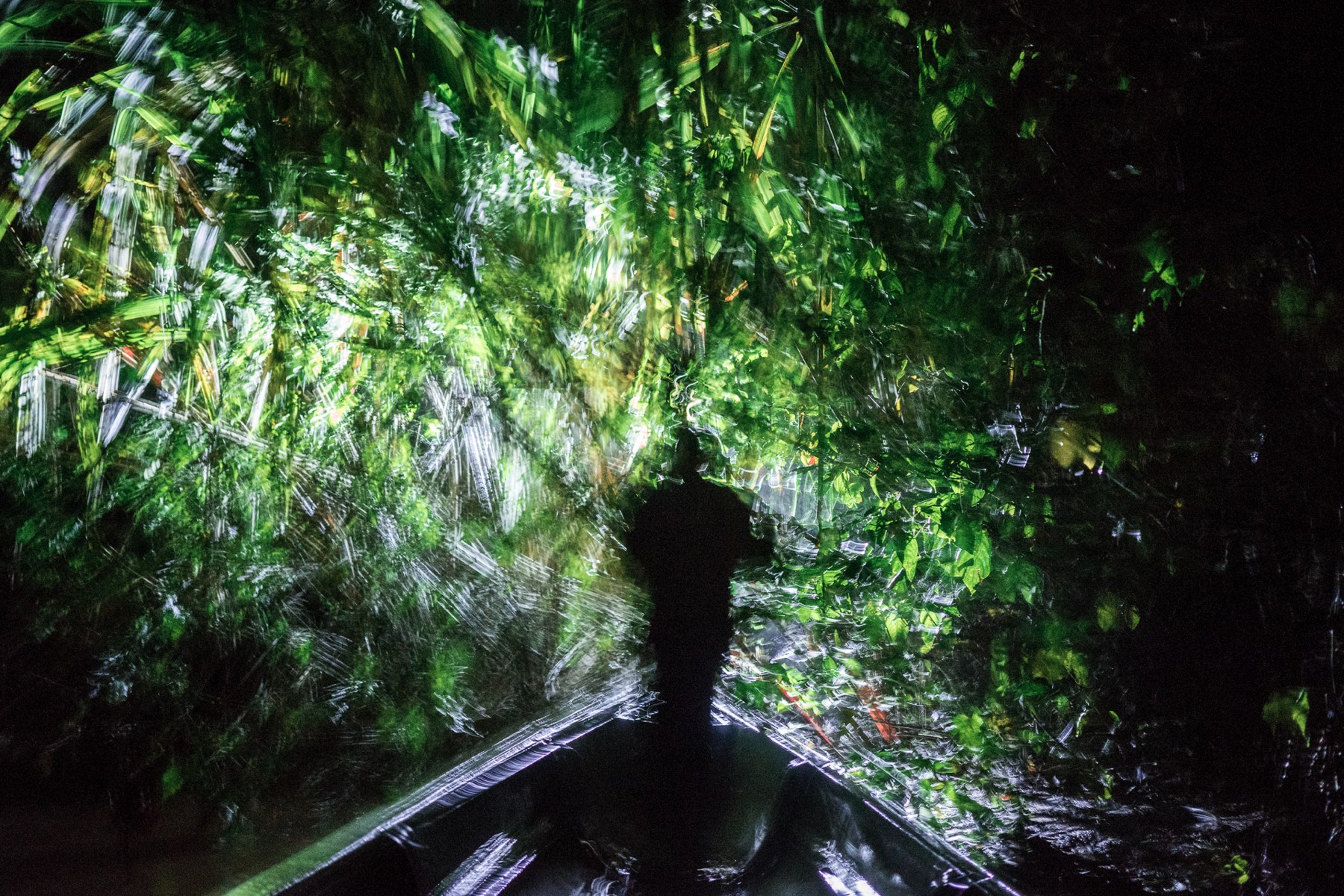 Representaciones de la “selva viviente:” la activación de los diseños y ...